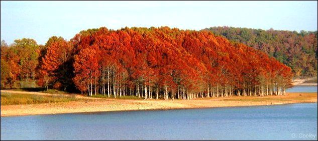 Things to do at and around Norfork Lake - Norfork Lake - Explore the Ozarks